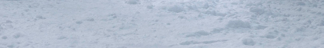 Ski Hire Cooma | Perisher & Thredbo | Rhythm Snowsports