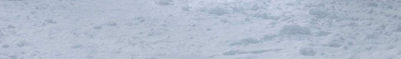 Ski Hire Cooma | Perisher & Thredbo | Rhythm Snowsports